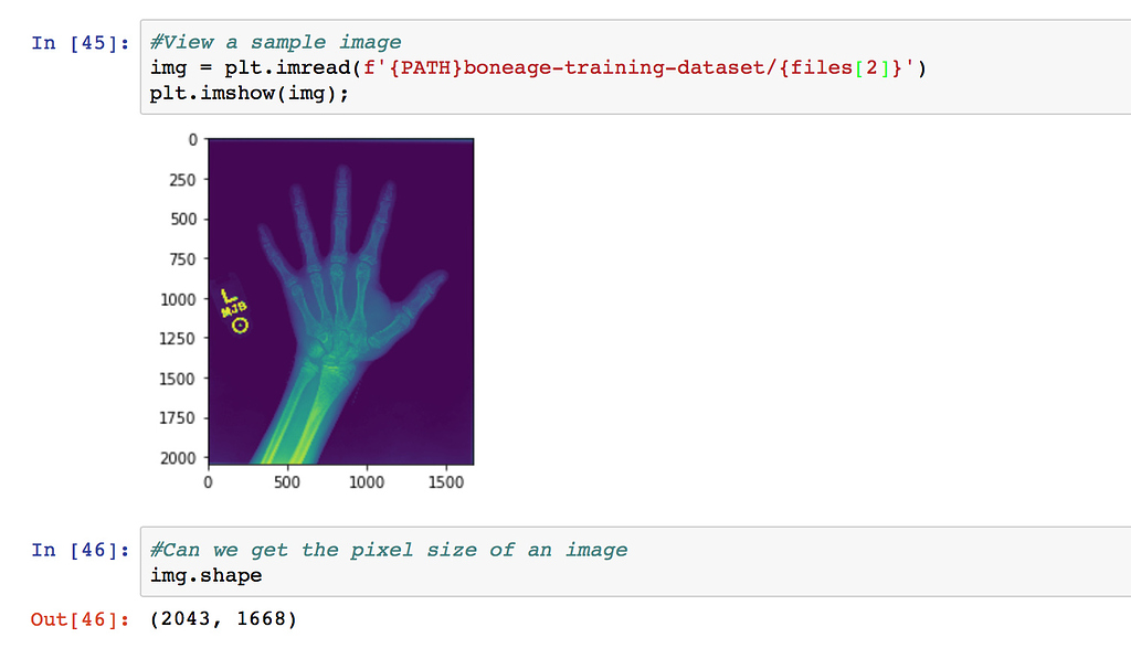 Is It Necessary To Know The Pixel Size Of Your Training Dataset Before