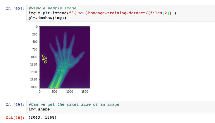 Is It Necessary To Know The Pixel Size Of Your Training Dataset Before 