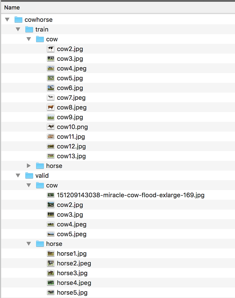 How to use your own Dataset for Lesson 1 - Beginner (2018) - fast.ai Course Forums
