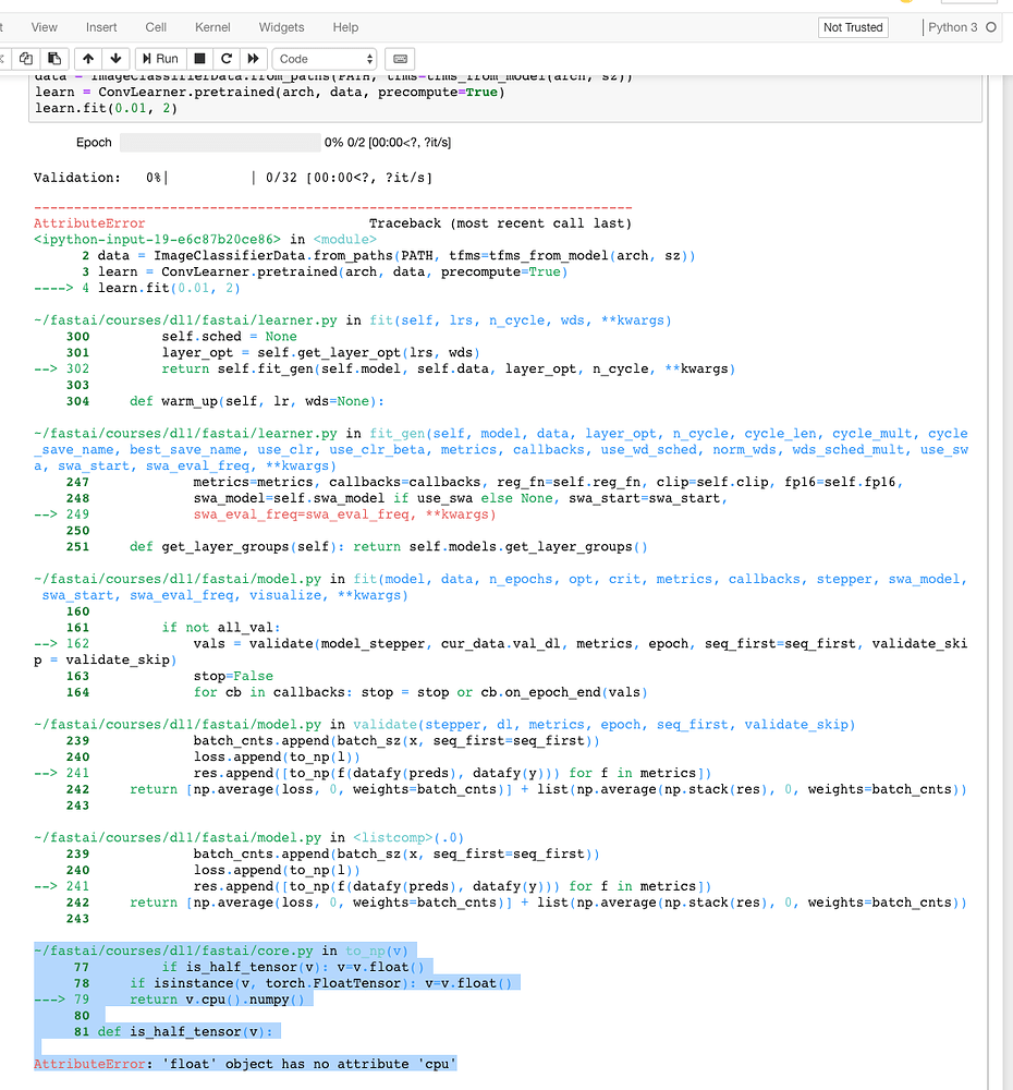 AttributeError 'float object has no attribute 'cpu' - first model ...