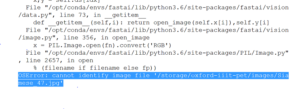 Getting os error while running lesson 1 in paperspace - Part 1 (2019) - fast.ai Course Forums