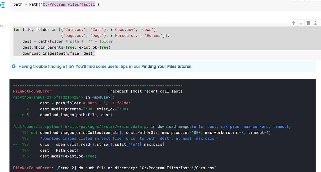 Failed to download local image in kaggle - Part 1 (2019) - fast.ai Course Forums