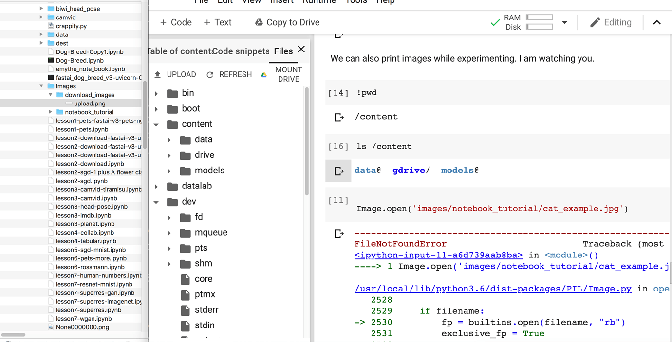 Google Colab Error in Lesson 0: Image open not working, no data to be ...