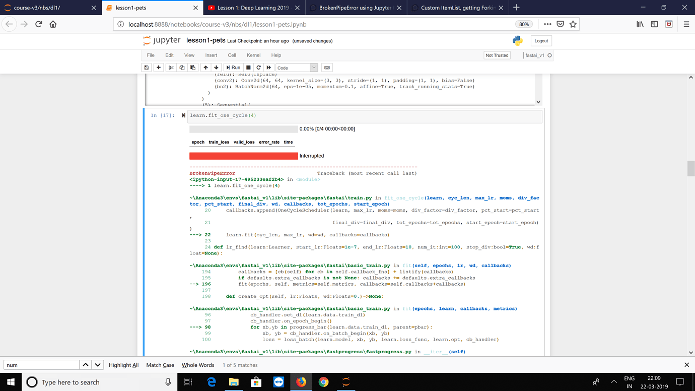 Brokenpipeerror Using Jupyter Notebook Lesson 1 Part 1 2019 Fastai Course Forums