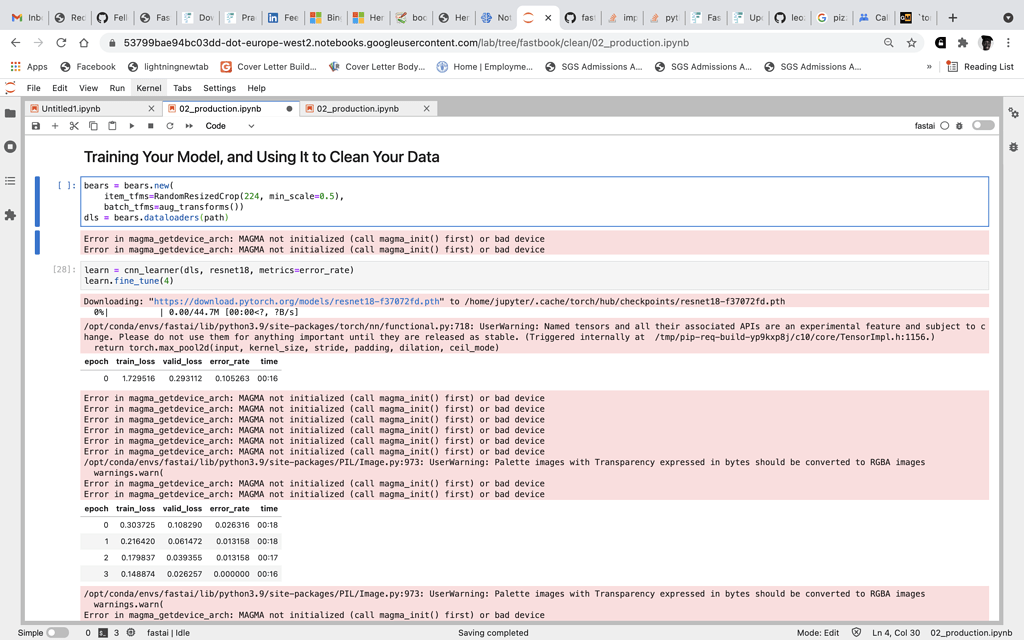 GCP model error on lesson 2 - Part 1 (2020) - fast.ai Course Forums