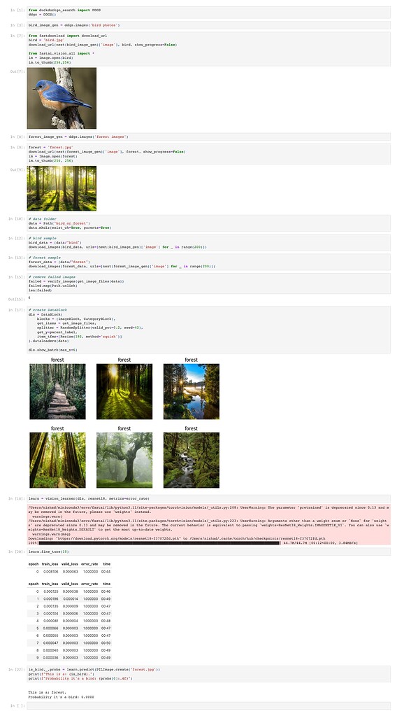 Error Rate = 1 for all epochs while trying Lesson 1 - Part 1 2022 - fast.ai Course Forums