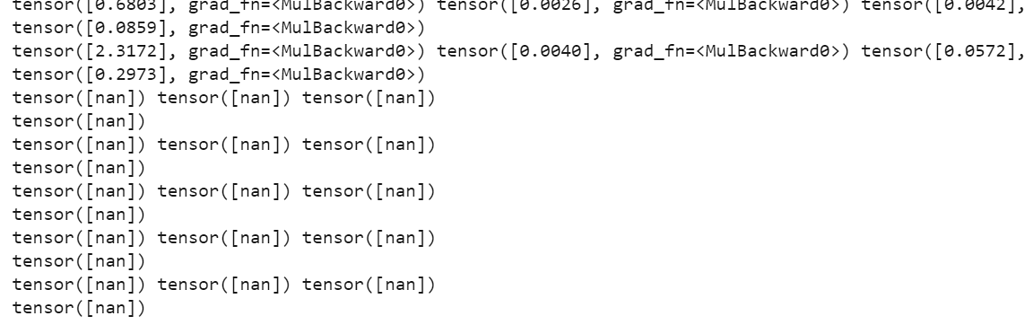 Loss is always NAN for validation set - fastai dev - fast.ai Course Forums
