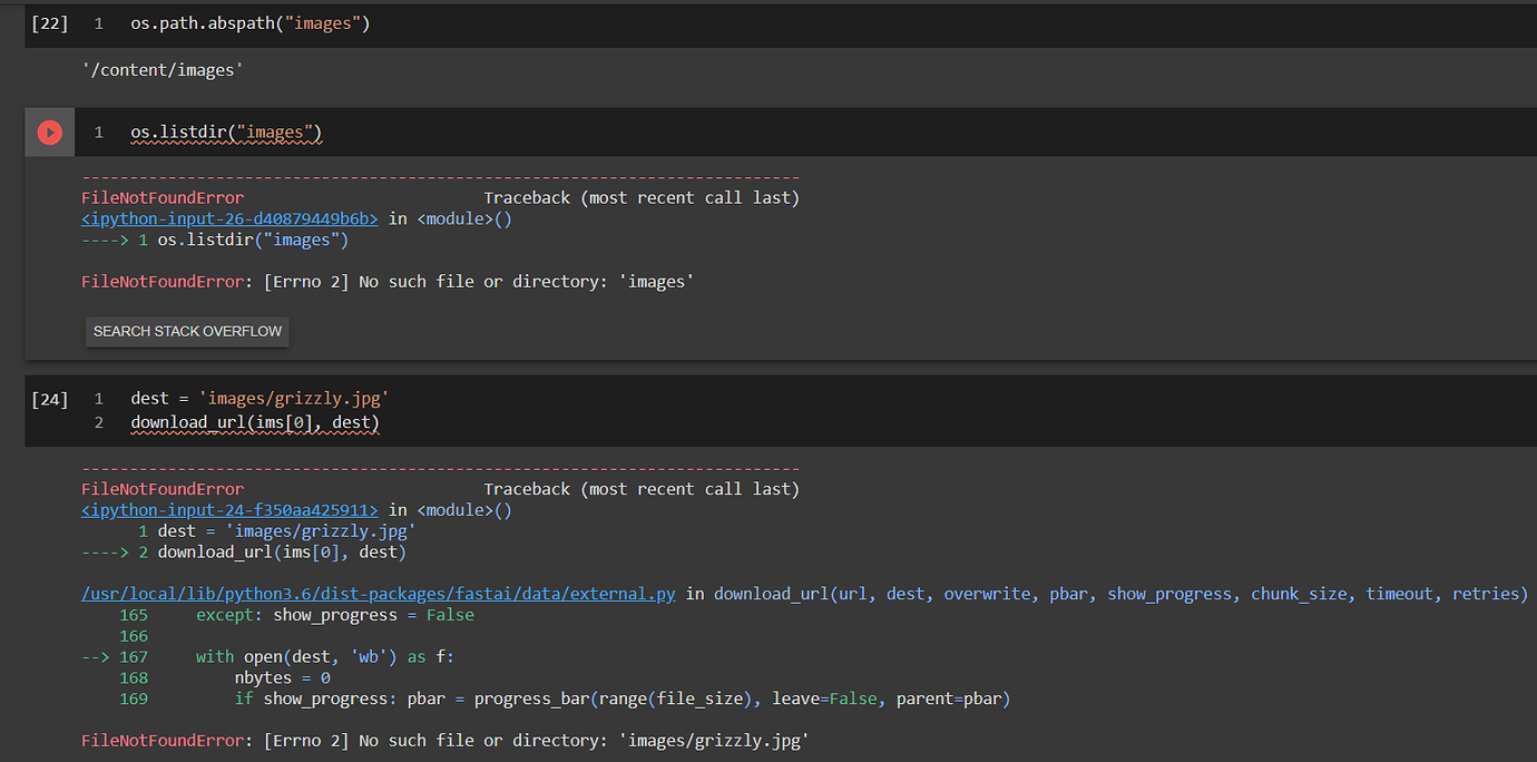 2020 Lesson 2 / 02_production FileNotFoundError images/grizzly.jpg ...