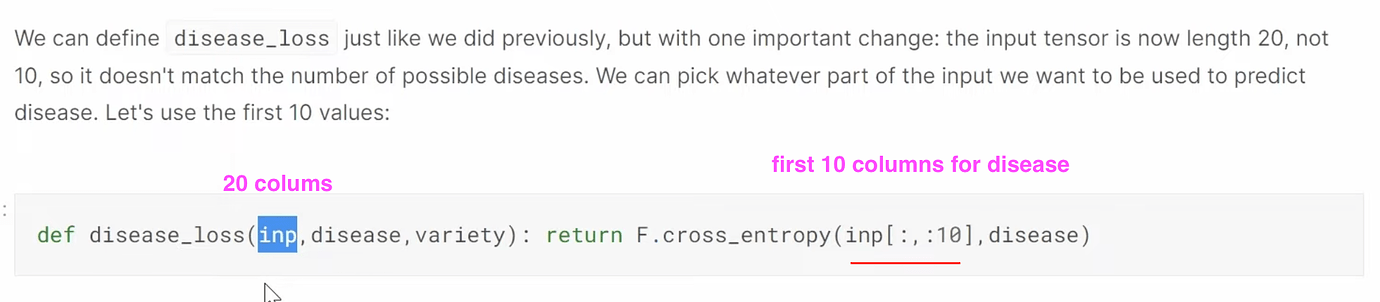 Practical Deep Learning for Coders - Lesson 7