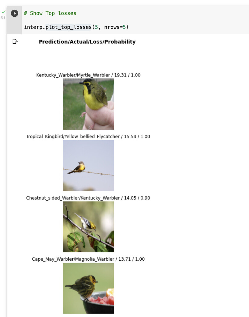 Possible to show the top losses in the cleaner selection? - Part 1 2022 - fast.ai Course Forums