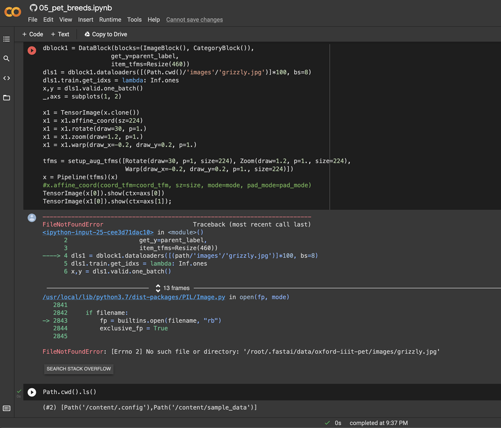 No such file or directory: '/root/.fastai/data/oxford-iiit-pet/images/grizzly.jpg' - Part 1 ...