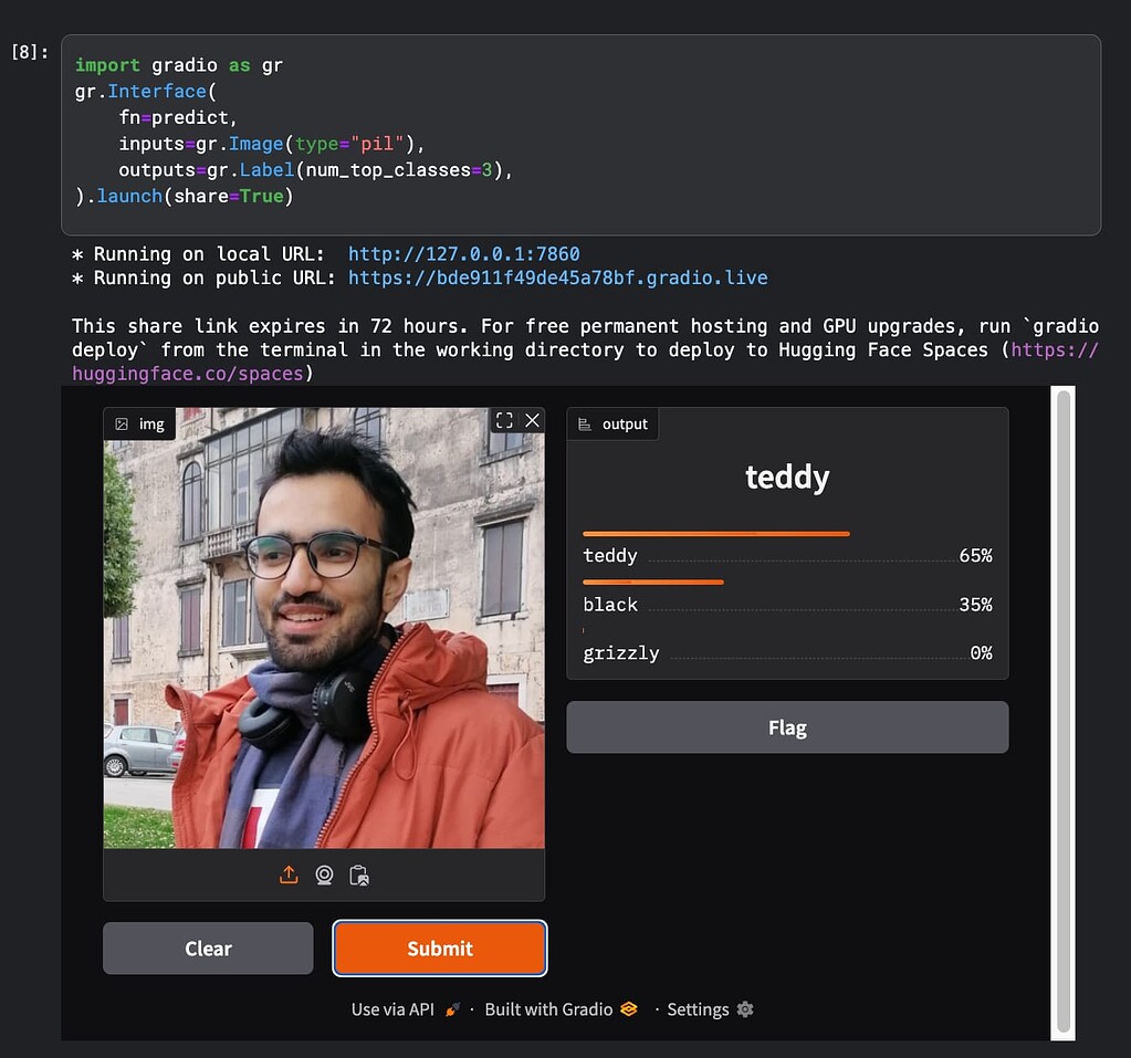 Gradio Update Production Model - Part 1 2022 - fast.ai Course Forums