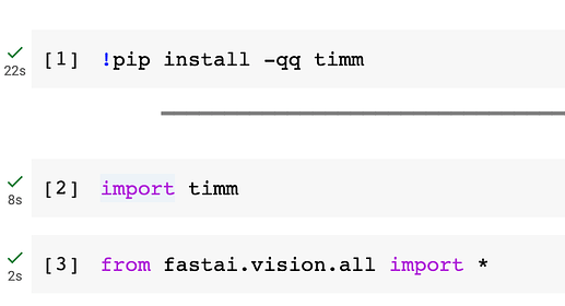 NameError: name 'timm' is not defined - fastai - fast.ai Course Forums