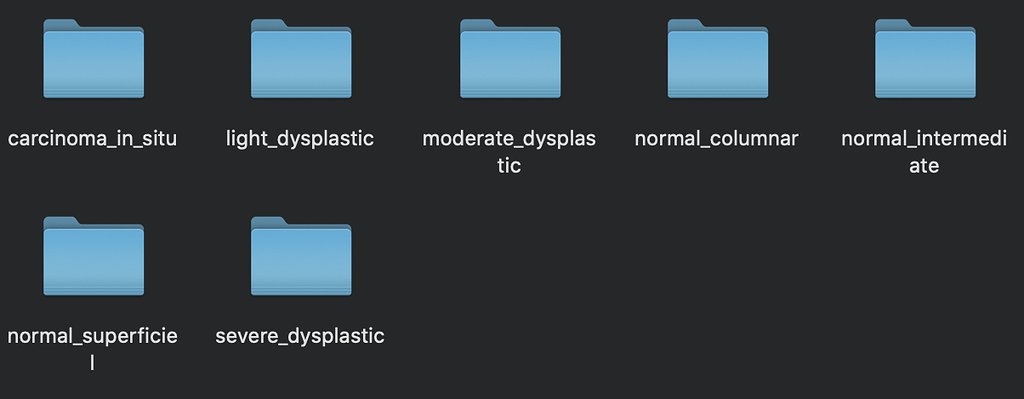 Herlev Pap smear Image classification - Part 1 (2019) - fast.ai Course Forums