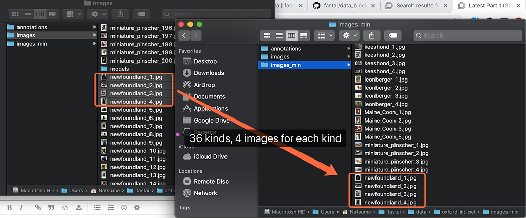 How to shrink pets databunch 10 times smaller? - Part 1 (2019) - fast.ai Course Forums