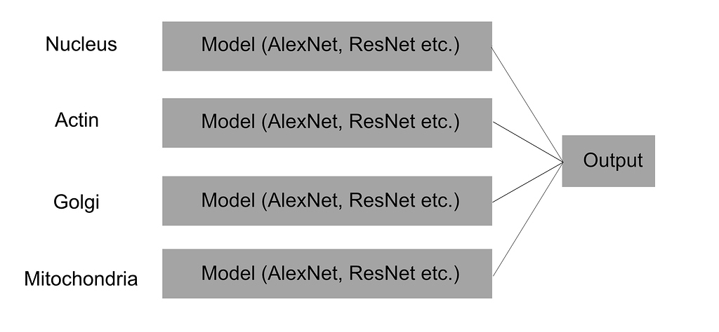 Combining multiple models into one output - Part 1 (2019) - fast.ai Course Forums