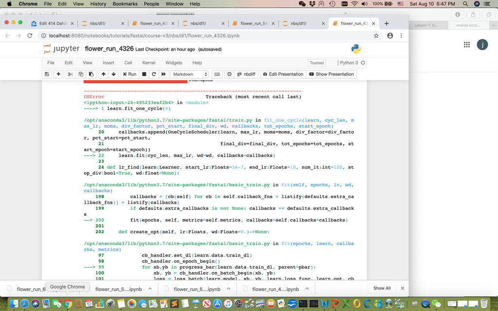 OSError: cannot identify image file PosixPath ('/home/jupyter/flowers/all_flowers_images ...