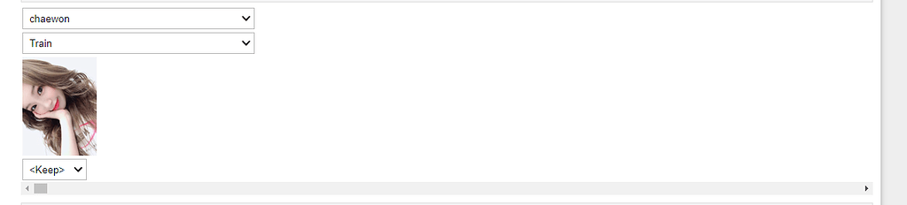ImageClassifierCleaner showing a single image with long scroll bar - Deep Learning - fast.ai ...