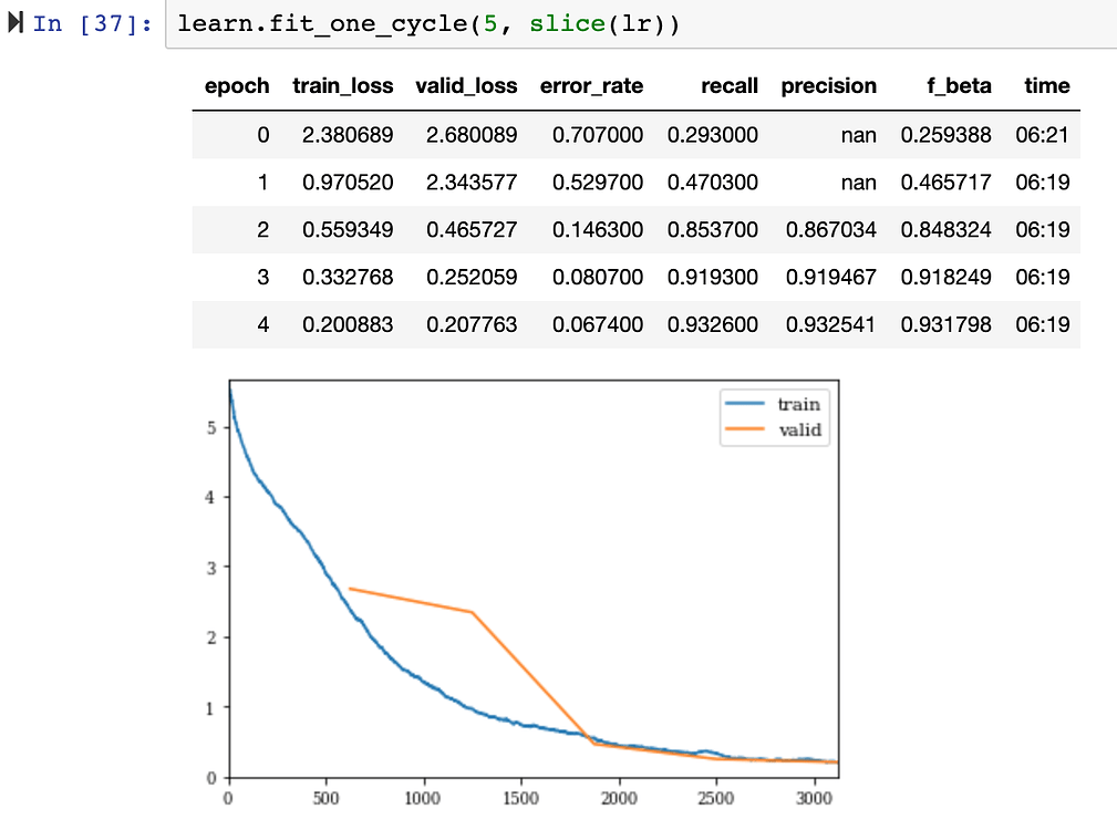 NaN Values When Using Precision In Multi classification Fastai Fast