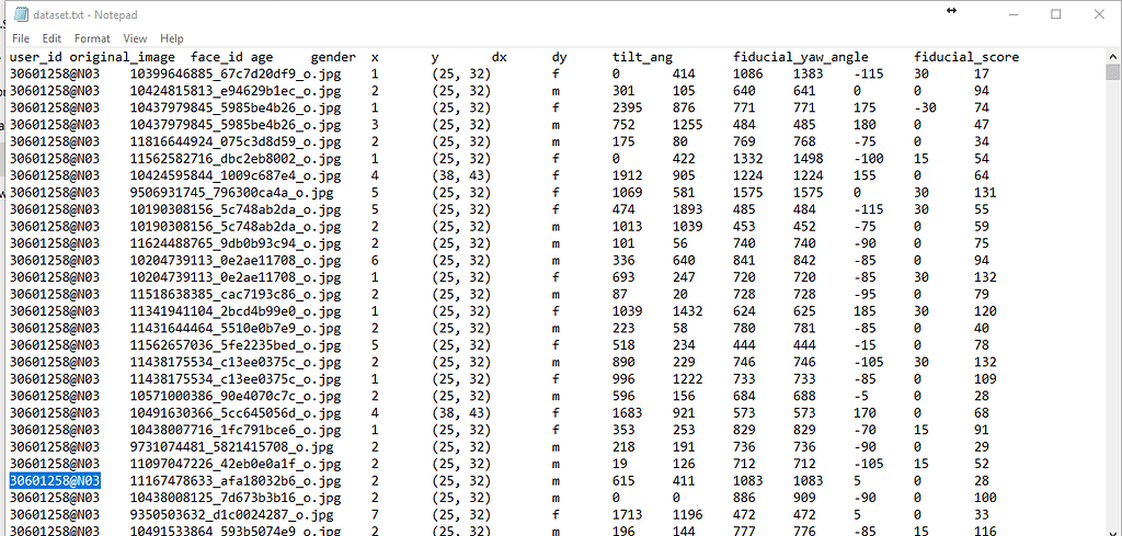 Multi-Classifier labels for Age-gender classifer - Part 1 (2019) - fast.ai Course Forums