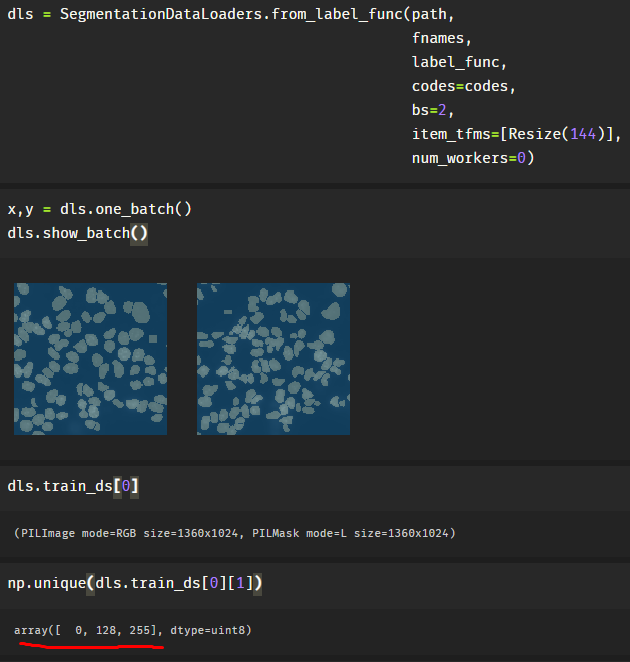 Cant do segmentation. RuntimeError: cuda runtime error (710) - fastai - fast.ai Course Forums